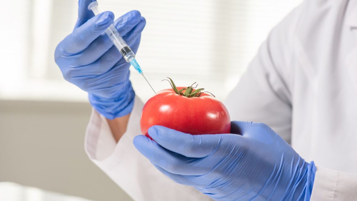 O que são alimentos transgênicos? - GA Suporte Tech